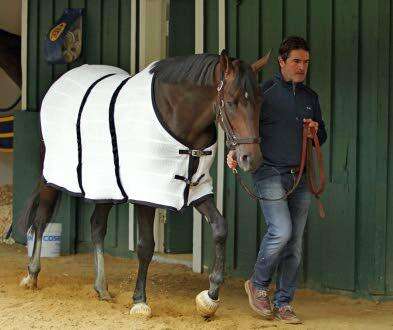 Exaggerator - Jamaica Observer