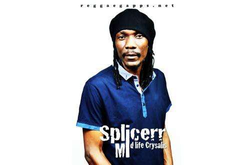 Splicerr returns with buzz - Jamaica Observer