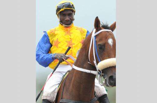 All is well - Jockey Shane Ellis is still around - Jamaica Observer