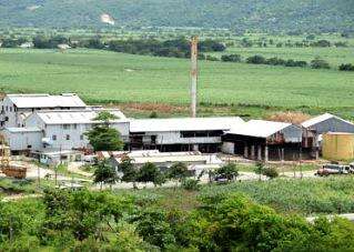 Sugar workers get pay rise, but sector’s outlook remains grim - Jamaica ...