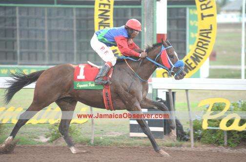 Superluminal growing his stocks - Jamaica Observer