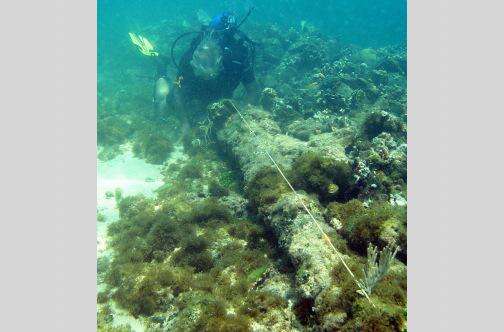 St Lucia to host regional marine conservation conference next week ...