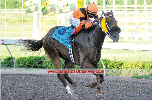 Sir Budget leads home in Overnight Allowance sprint - Jamaica Observer