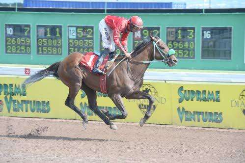 Ian Links reinstated, Choo Choo Blue retains second - Jamaica Observer