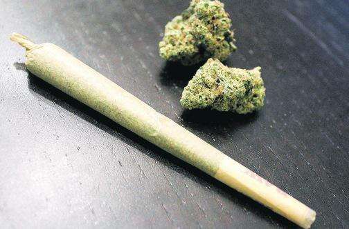 Delay ganja smoking... at least until you’re 17 - Jamaica Observer