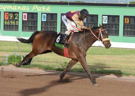 Campesino takes aim at Eileen Cliggott Memorial Cup feature - Jamaica ...