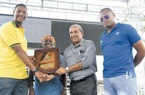 Crime the enemy of tourism - Jamaica Observer