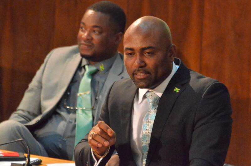 Jamaica on course for 30% renewable energy — Wheatley - Jamaica Observer
