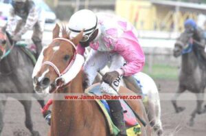 Fearless Samurai did just enough - Jamaica Observer