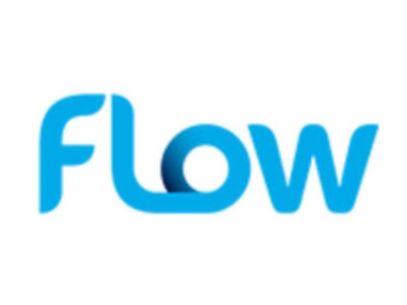 FLOW, Jamaica Observer, assist CDA on Read Across Jamaica Day - Jamaica ...