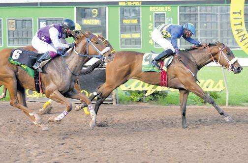 Lightning Lily too fast, too furious for chasing pack - Jamaica Observer