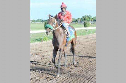 Ian Links moves on to Open Allowance - Jamaica Observer