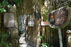 Great Huts — Portland's very own rustic attraction - Jamaica Observer