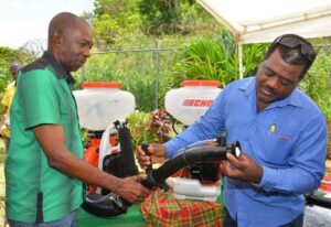 Gov't provides $17.5m to Beet Army Worm affected farmers - Jamaica Observer