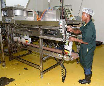 Creditinfo Jamaica to rebrand as EveryData - Jamaica Observer