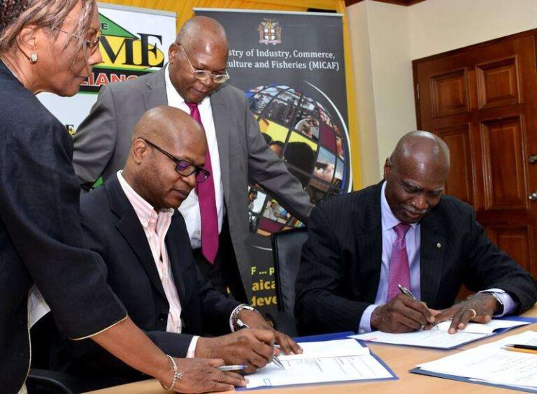 Small businesses to benefit from NDFJ/MSME Alliance partnership ...