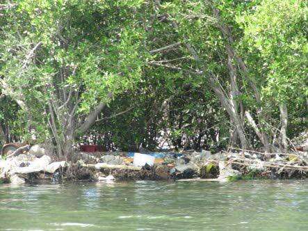 Port company to rescue Refuge Cay - Jamaica Observer