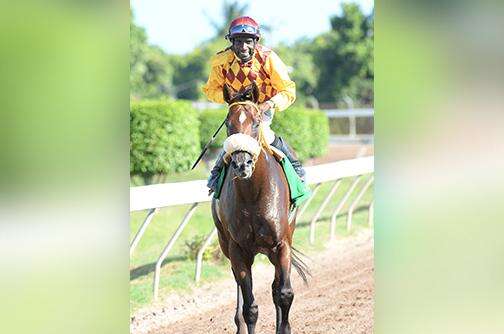 Talented Tony K the choice - Jamaica Observer