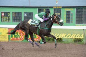 Mellisa's Ride - Jamaica Observer