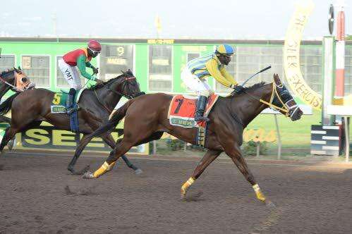 Chace The Great from in front - Jamaica Observer