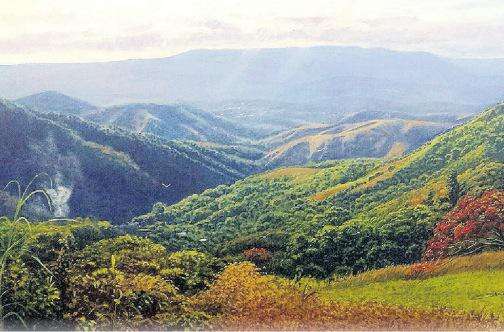 Carube smells gold and copper at Bellas Gate - Jamaica Observer