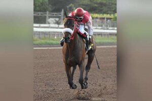 TOUGH TEST - Jamaica Observer