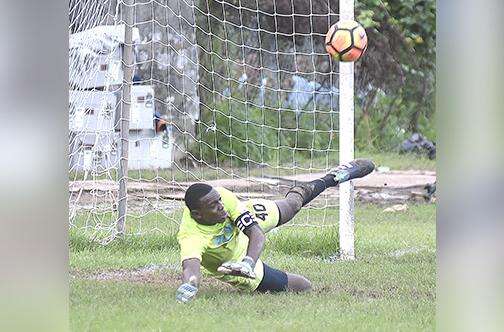 Jeadine White keeps on keeping on - Jamaica Observer