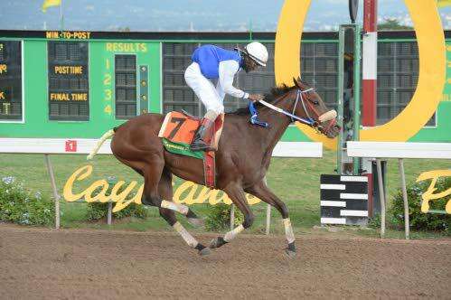 APPEAL! - Jamaica Observer