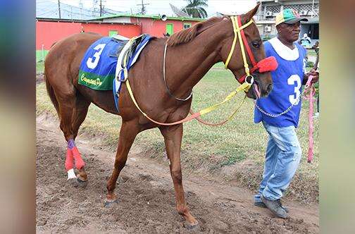 Errol Thomas totally committed to his job - Jamaica Observer