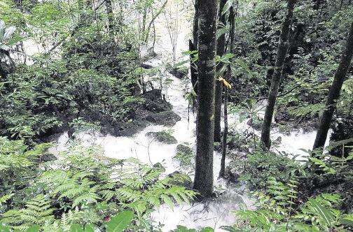 How Cockpit Country got its name - Jamaica Observer