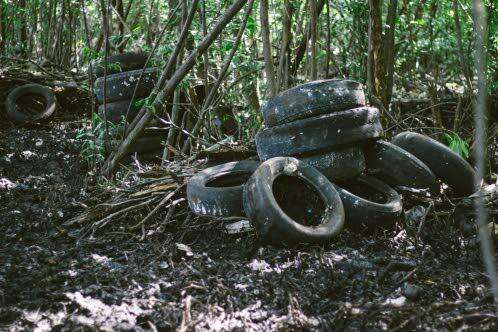 Students, teachers get biodiversity lesson on Refuge Cay tour - Jamaica ...