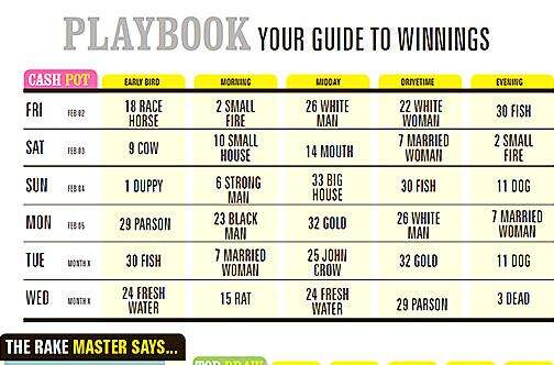 THE RAKE MASTER SAYS... Don't play with fire - Jamaica Observer