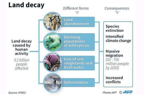 Land decay to displace tens of millions, global survey warns - Jamaica ...