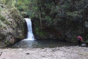 Hiking in the hills with Leon Barnaby - Jamaica Observer