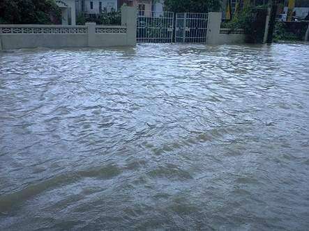 Flooding in Lucea as river swells banks - Jamaica Observer