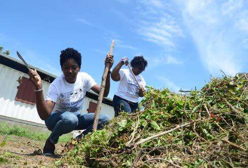 Several join hands to put work into Labour Day - Jamaica Observer