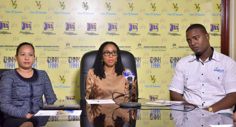 Wigton Wind Farm offering renewable energy training course - Jamaica ...