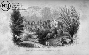 Sligoville: Jamaica's first free village - Jamaica Observer