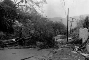 Gilbert made sure 1988 was a bad year for Jamaica - Jamaica Observer