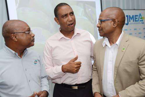 Revised standards coming for Carib coconut water processors - Jamaica ...