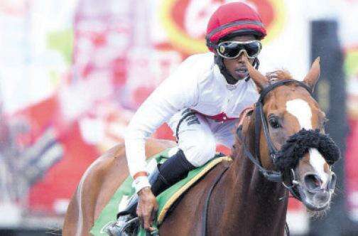 Deal Marker goes to stud on a winning note - Jamaica Observer