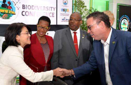 Declaration of Black River Morass, Pedro Cays as protected areas to be ...