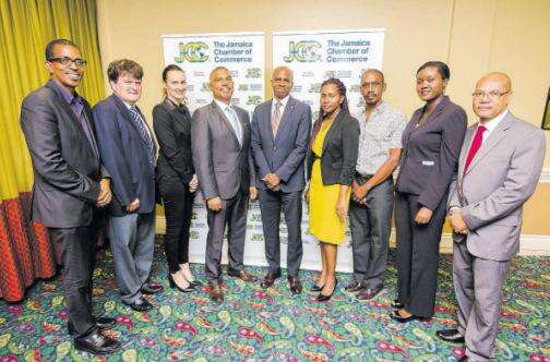 Distant calls for reduced income tax - Jamaica Observer