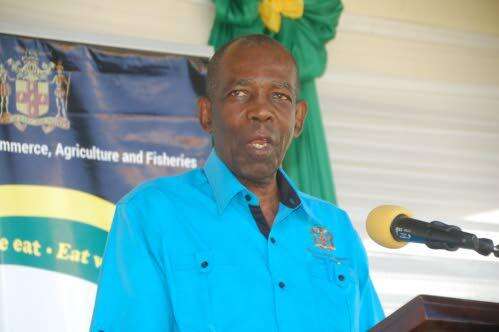 Ganja pilot project for Accompong - Jamaica Observer