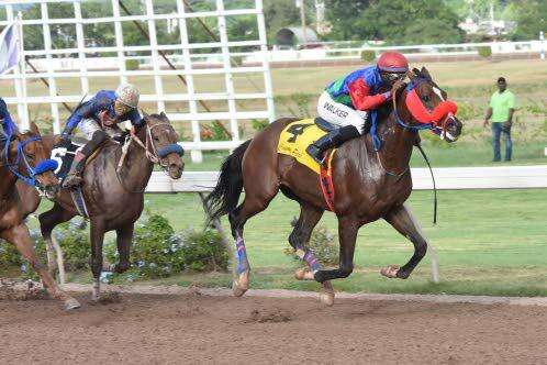 Tough and resilient Superluminal trumps in Overnight - Jamaica Observer