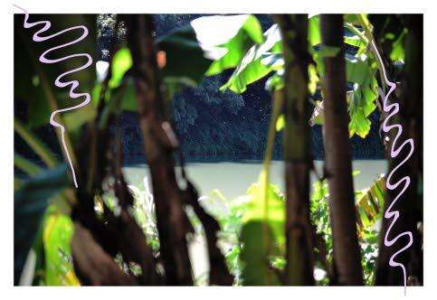 River Mumma: The Untamed Potential of Jamaica - Jamaica Observer