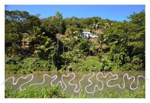 River Mumma: The Untamed Potential of Jamaica - Jamaica Observer