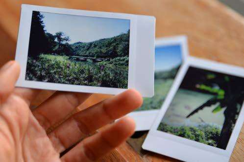 River Mumma: The Untamed Potential of Jamaica - Jamaica Observer