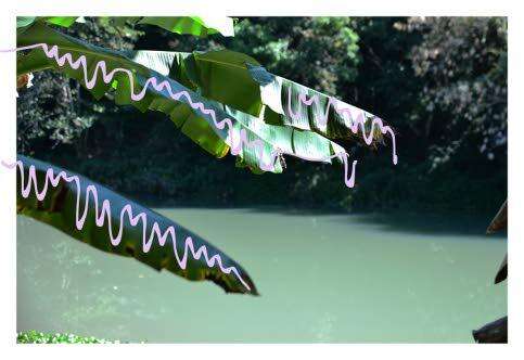 River Mumma: The Untamed Potential of Jamaica - Jamaica Observer