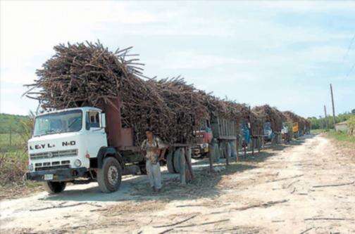 Pan Caribbean Sugar Co pulling out of Monymusk sugar factory - Jamaica ...